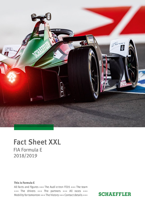 Formula E Fact Sheet XXL - New York 2019 | Schaeffler Industrial Drives